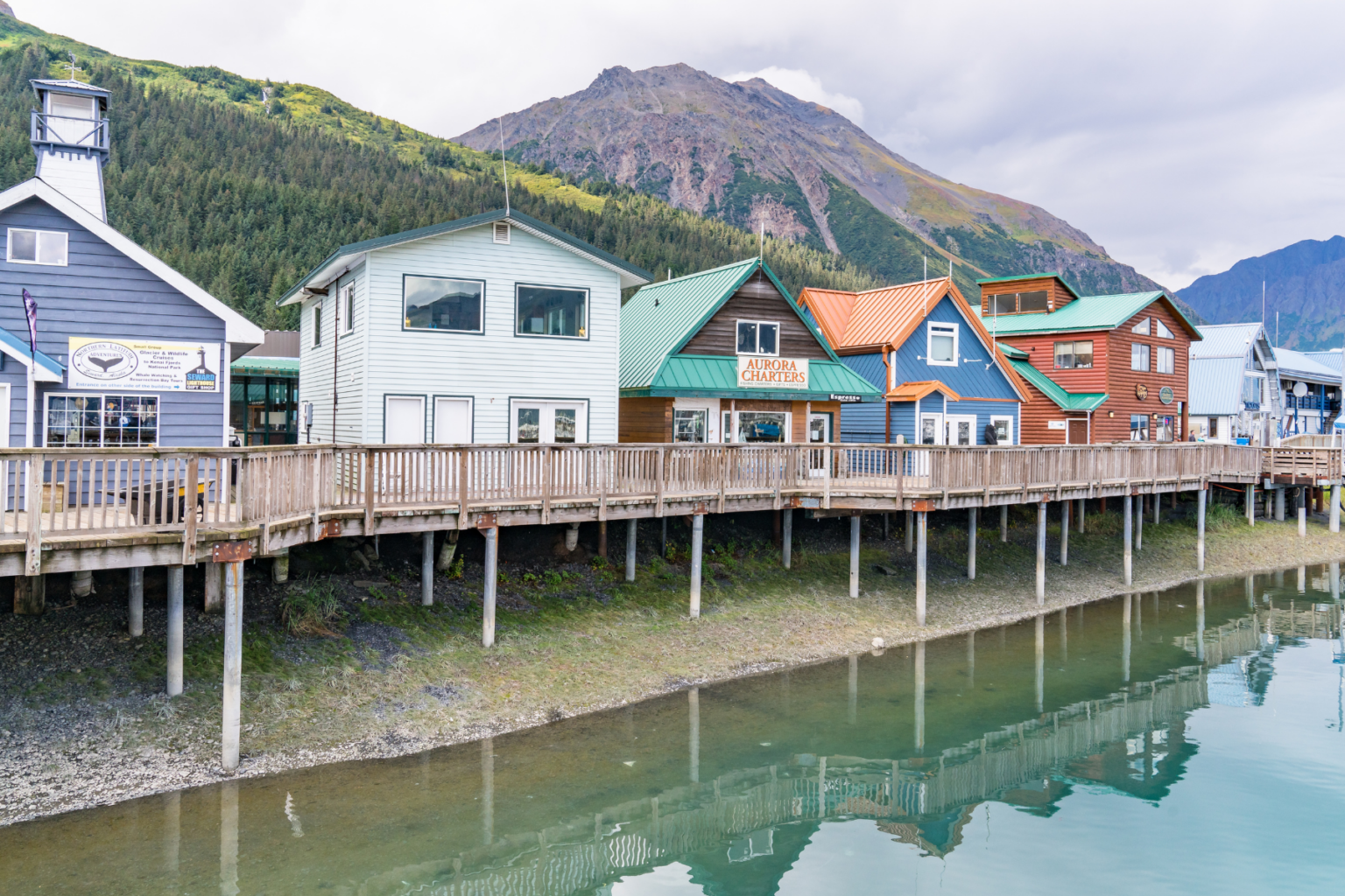Seward to Anchorage Tours & Private Transfers