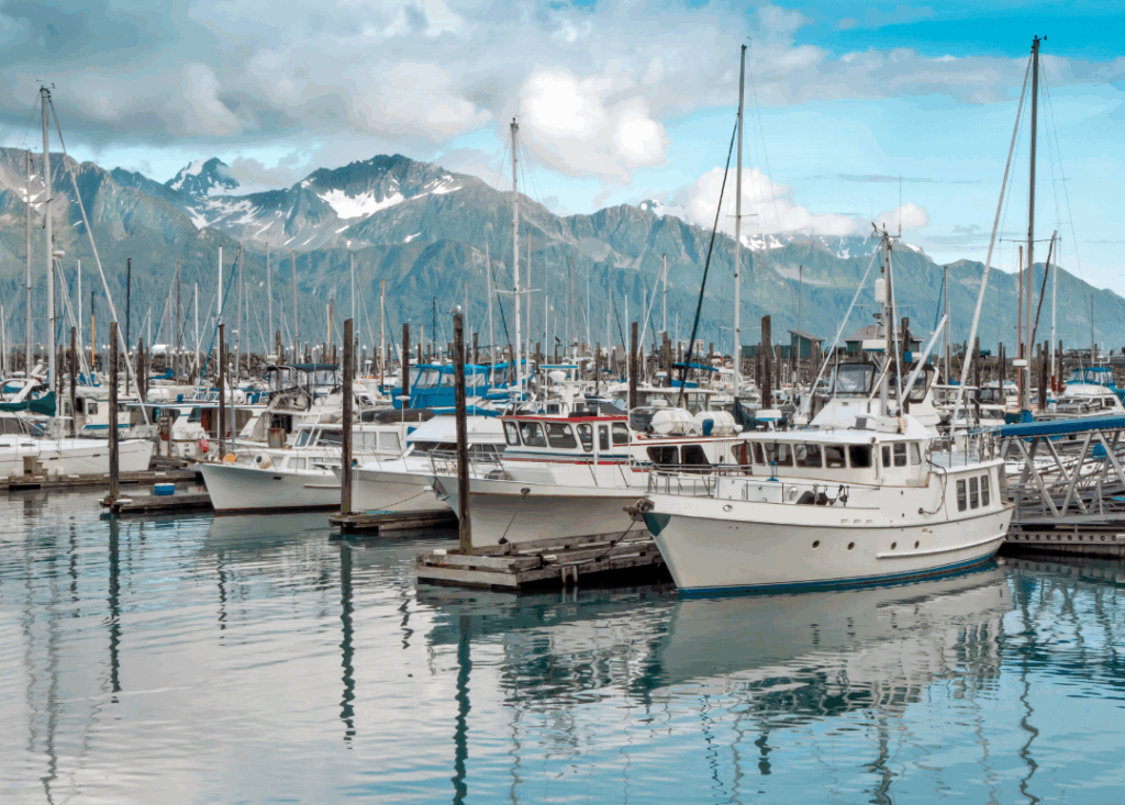 Seward to Anchorage Private Scenic Transfer | Moose Pass Adventures